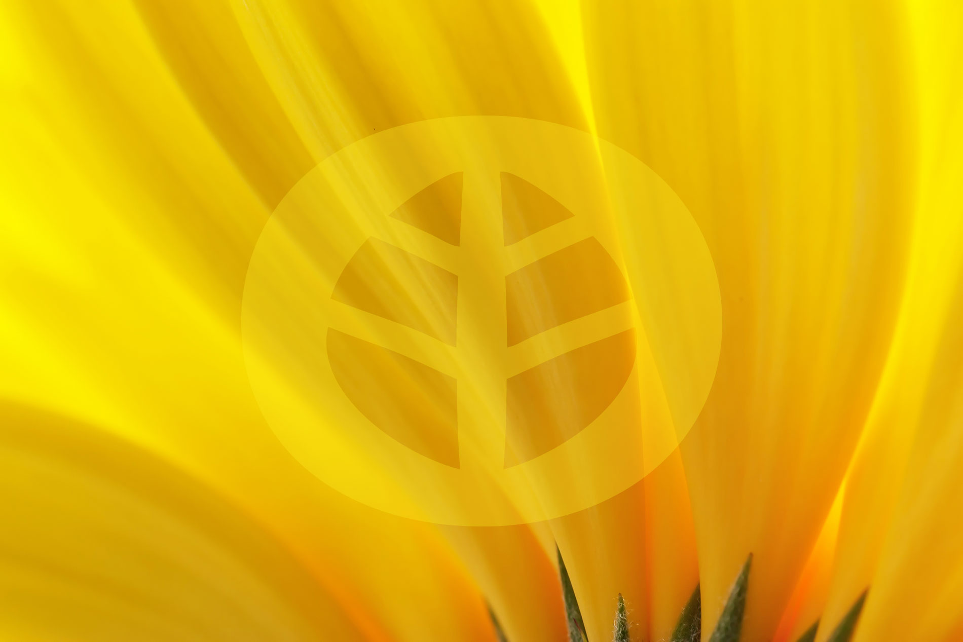 private label Integratori alimentari Personalizzati e Notificati