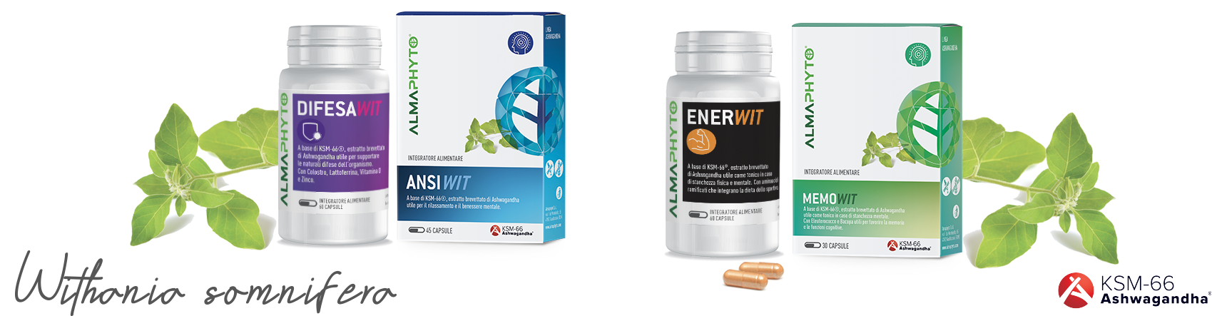 private label Integratori alimentari Personalizzati e Notificati