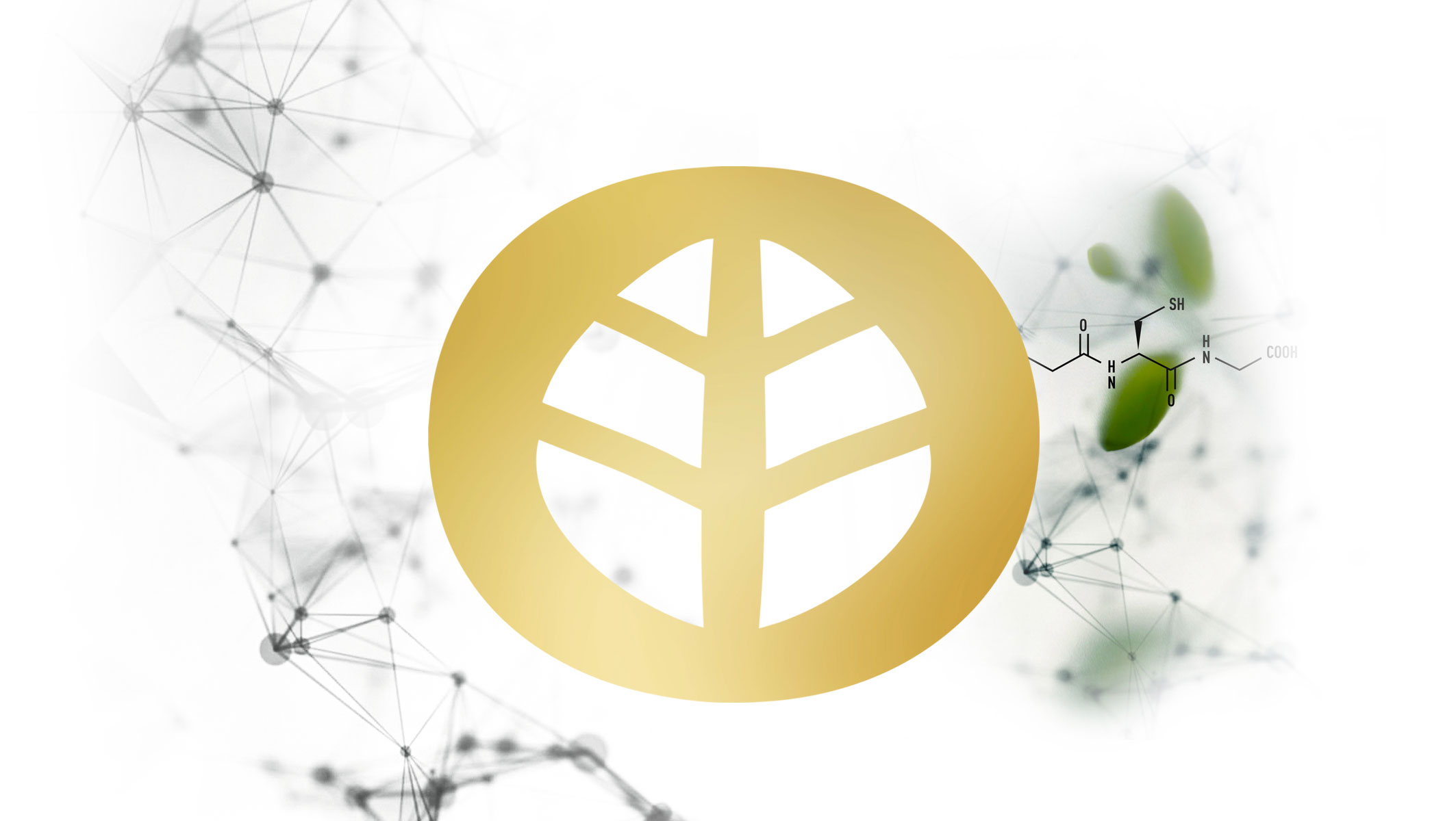 private label Integratori alimentari Personalizzati e Notificati